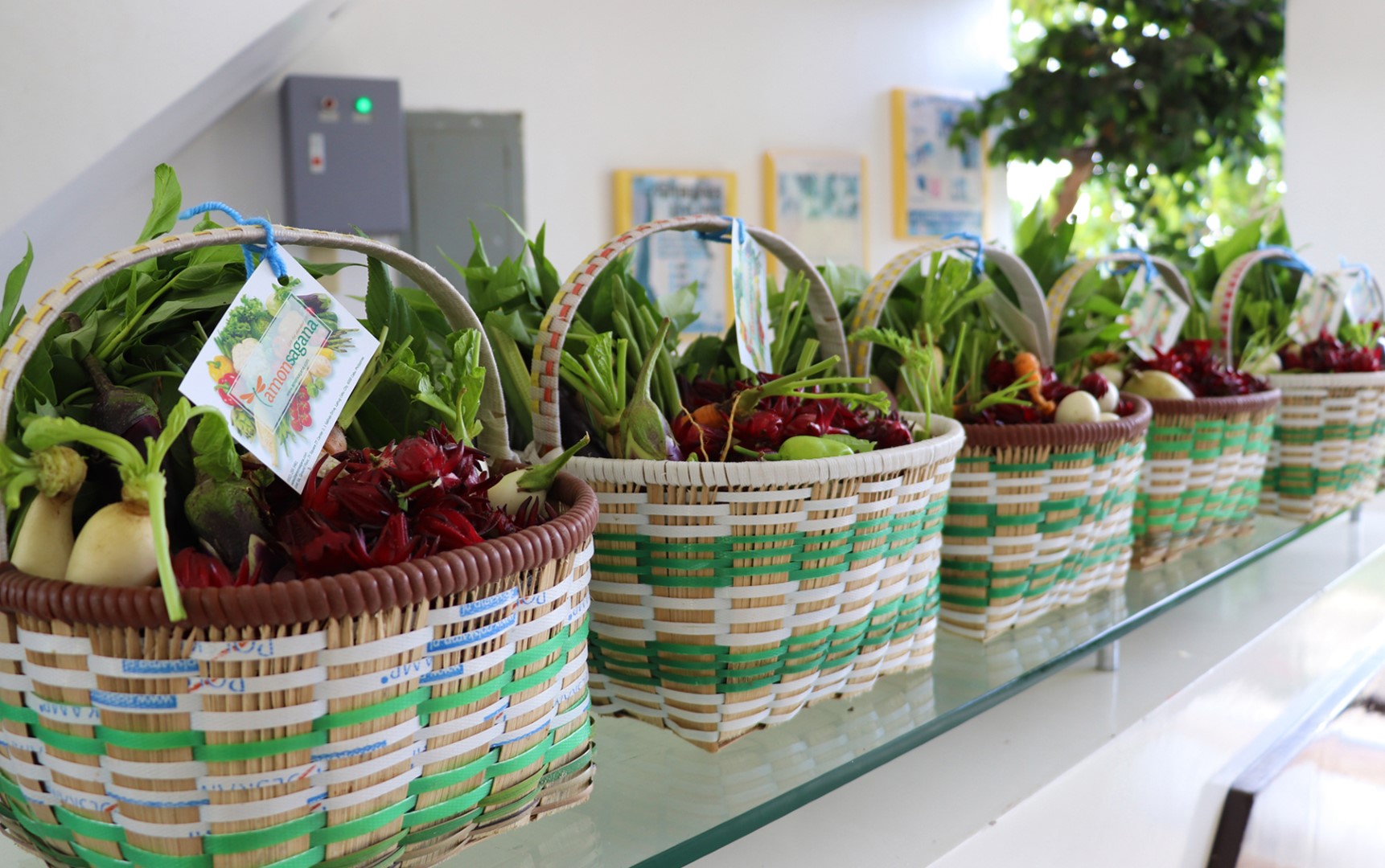 Amonsagana: Cebu’s Health and Wellness Destination